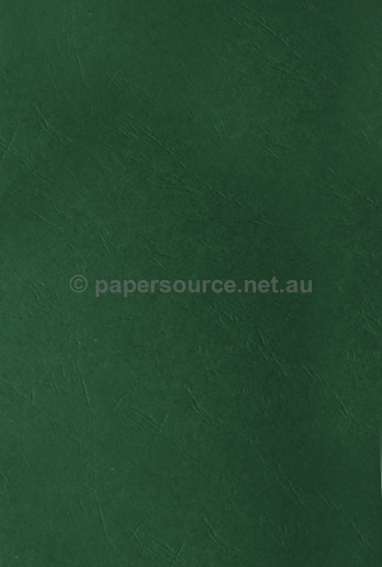 Leathercraft | Forest Green A4 Matte 270gsm Board | PaperSource Australia